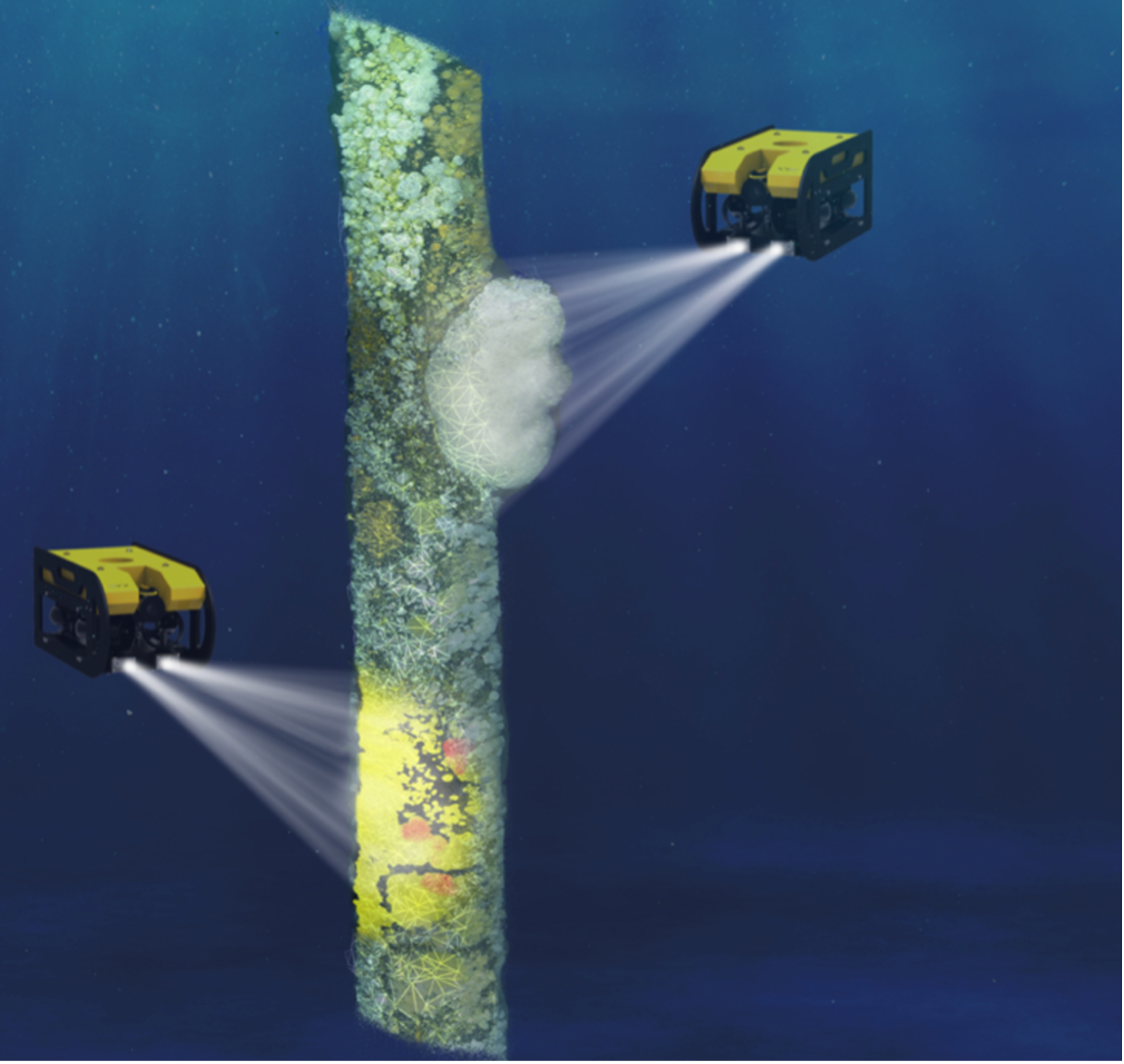 North Sea 3D (NS3D): novel 3D imaging techniques to quantify biomass ...