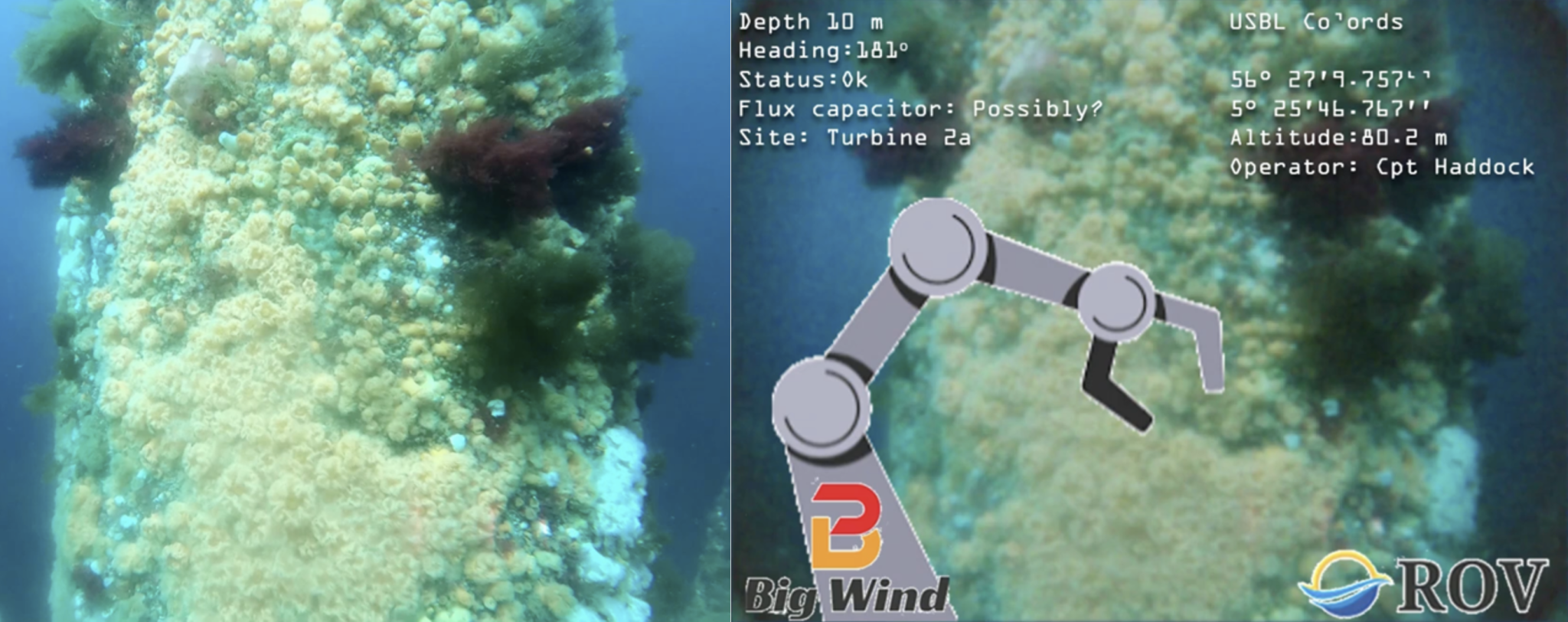 North Sea 3D (NS3D): novel 3D imaging techniques to quantify biomass ...